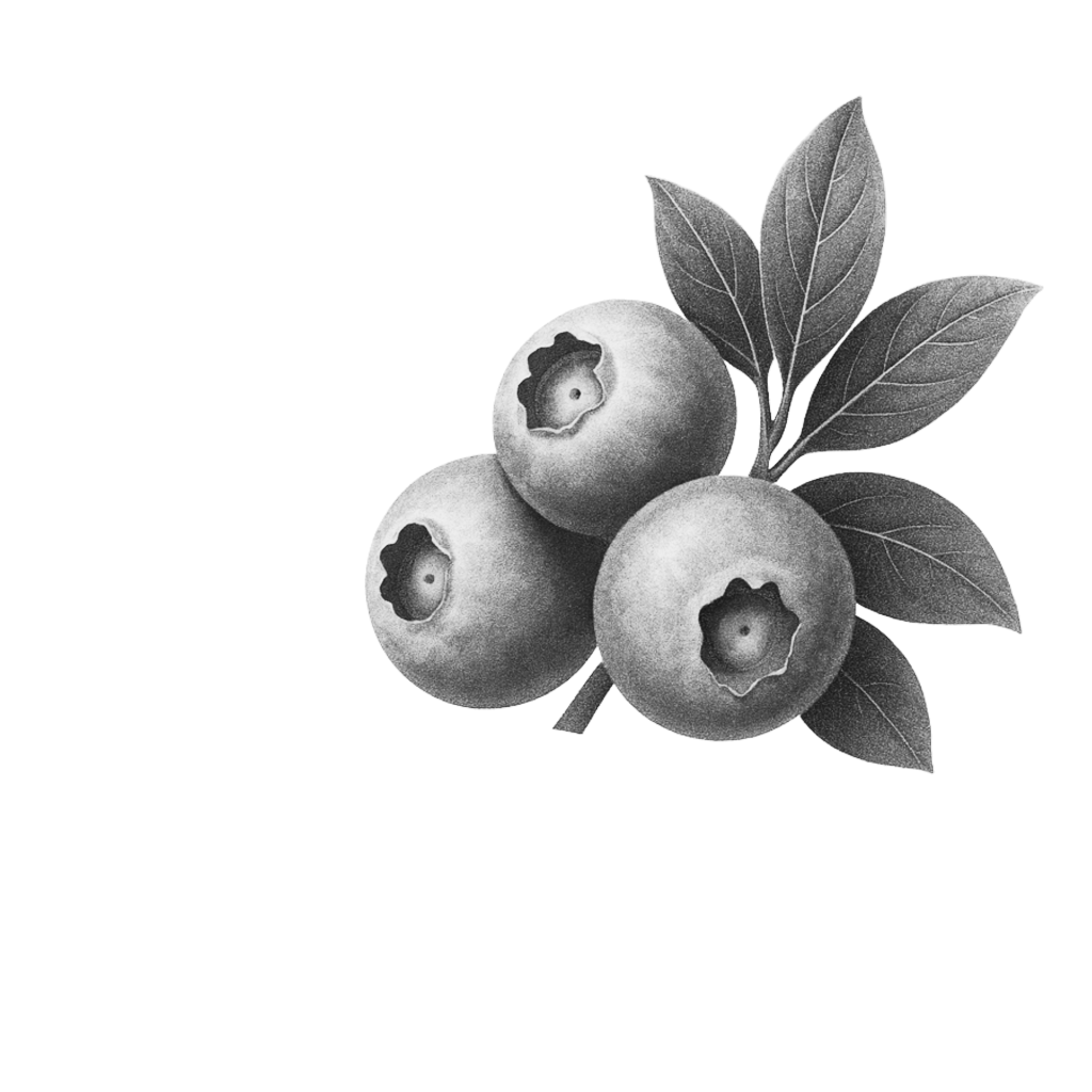 BC Blueberry Council | Leading British Columbia’s Blueberry Industry